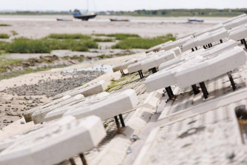 Two Tree Island – Catchment to Coast