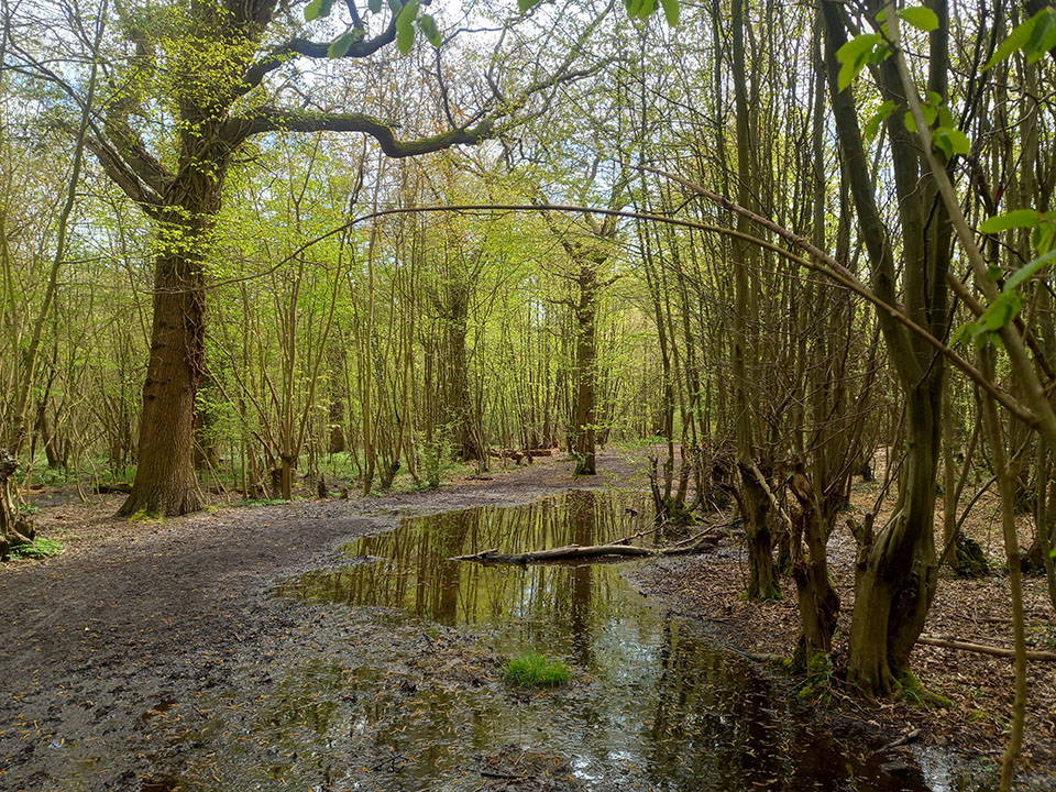 Catchment to Coast
